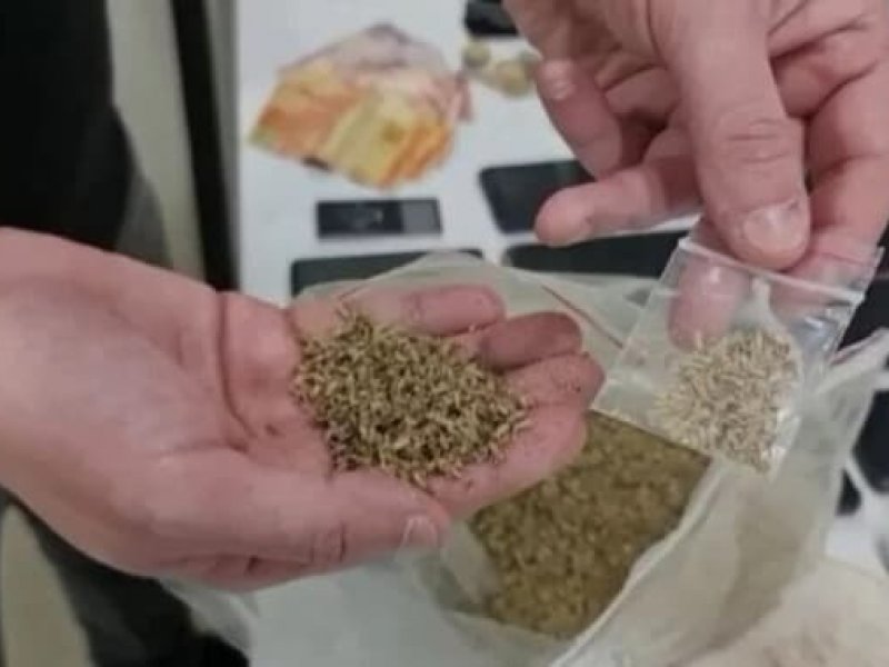 Sesab alerta para riscos de nova droga sintética 'K9' apreendida na Bahia